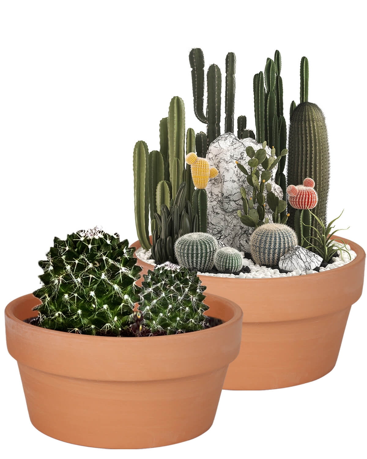 8 Inch Terracotta Shallow Succulent Pot - 2 Pack Large Terra Cotta Clay ...