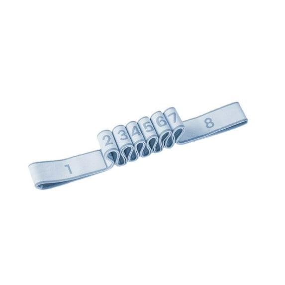 8-Loop Stretch Resistance Band | Premium Elastic Exercise Strap for ...