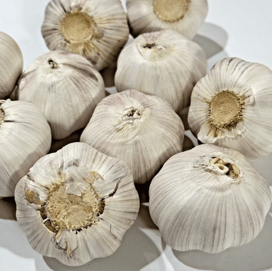 8 Music Garlic Bulbs for Planting and Gardening, Hardneck Garlic Tubers ...