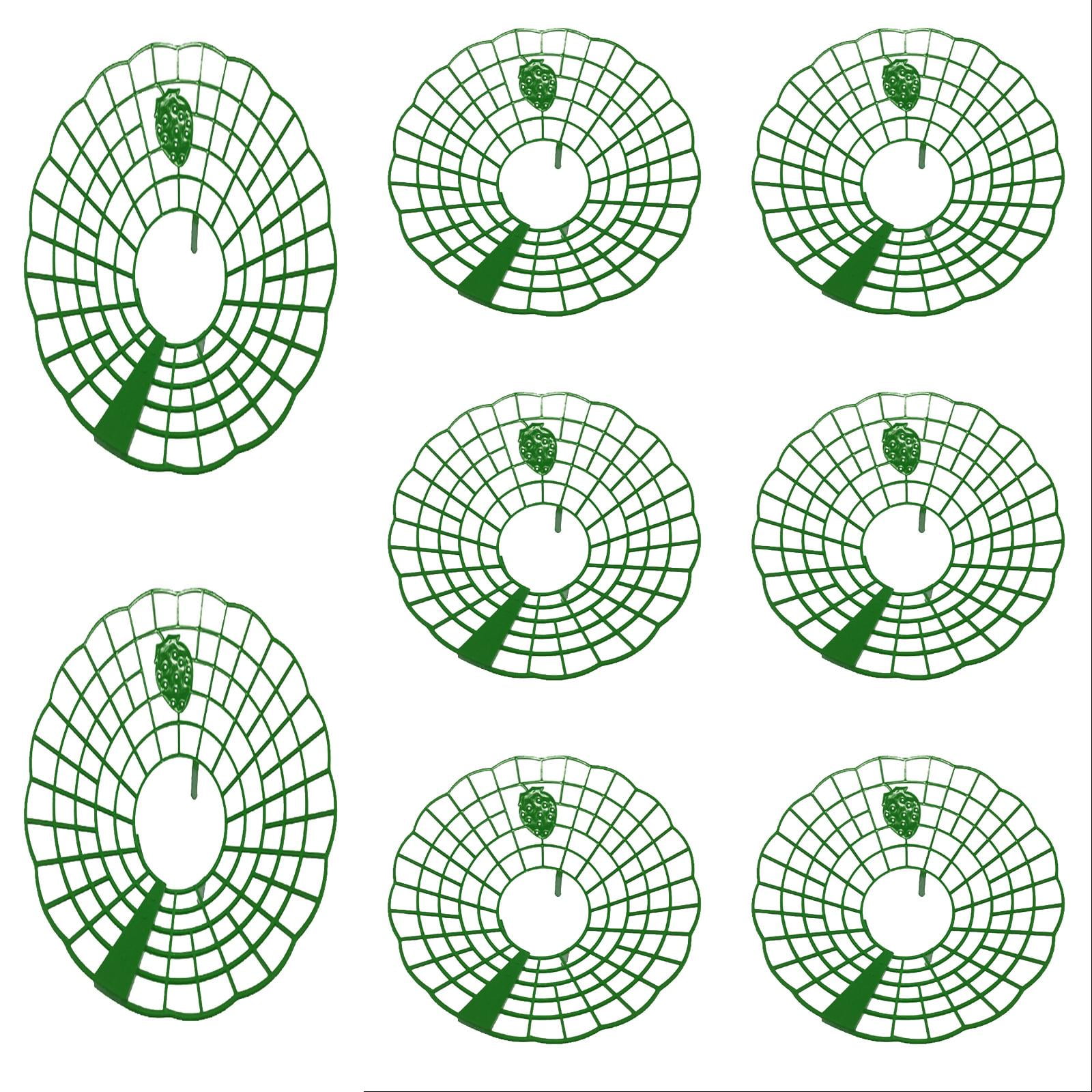 8 PC Strawberry Supports, Plant Support with 3 Sturdy Legs - Strawberry ...