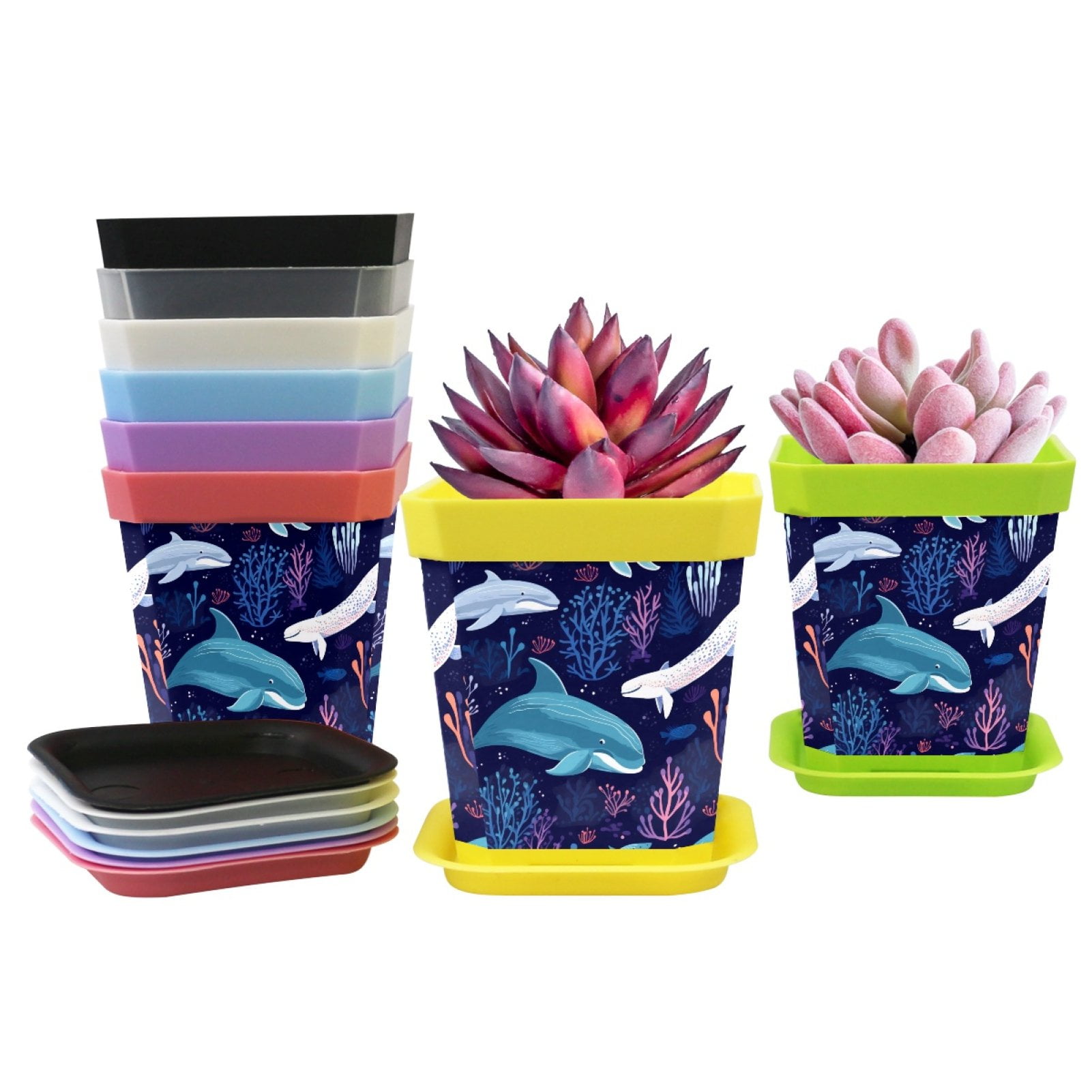 8 Pcs Decorative Flower Pots,Dolphin Coral Small Plastic Plant Pots ...