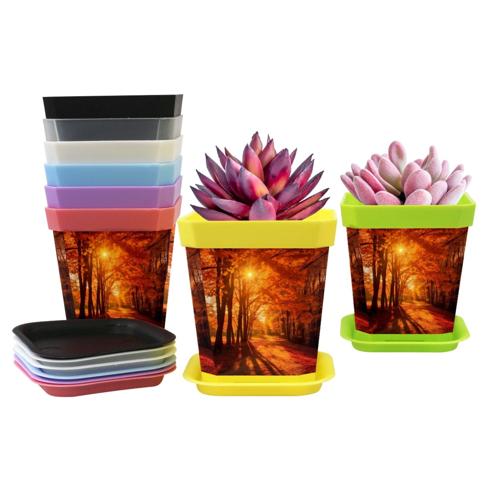 8 Pcs Decorative Flower Pots,Fall Maple Leaves Small Plastic Plant Pots ...
