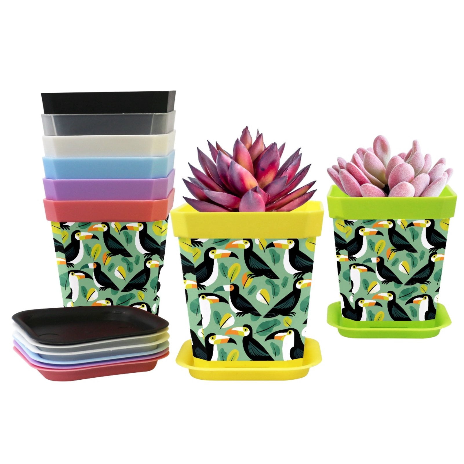 8 Pcs Decorative Flower Pots,Toucan Small Plastic Plant Pots,Planter ...