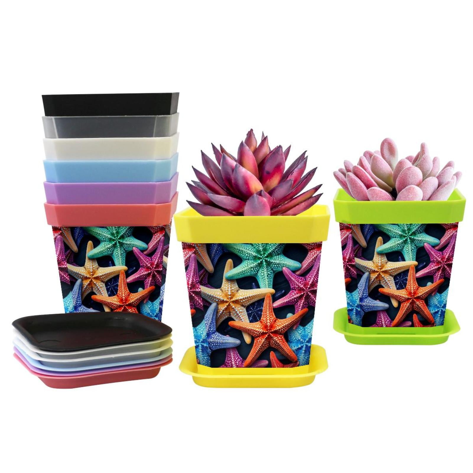 8 PCS Pots for Plants Beach Sea Starfish Plastic Planters with Drainage Holes and Tray, Plant ...