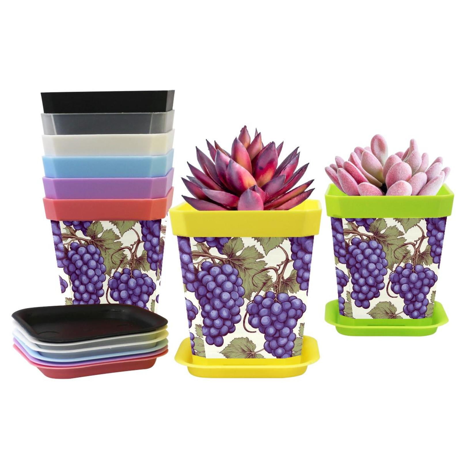 8 PCS Pots for Plants Branches of Grapes Fruits Plastic Planters with ...