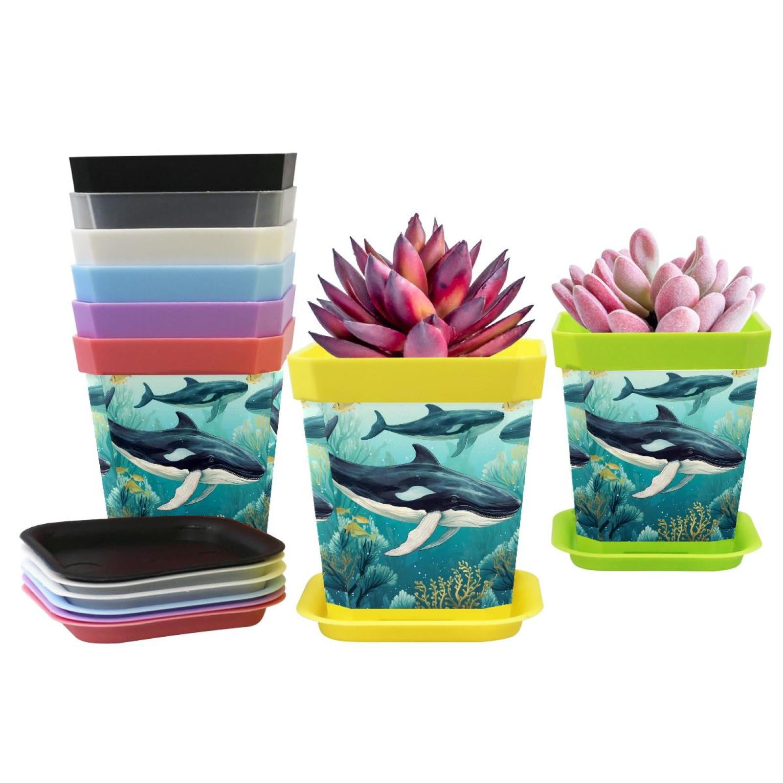 8 PCS Pots for Plants Whale in Ocean Plastic Planters with Drainage ...