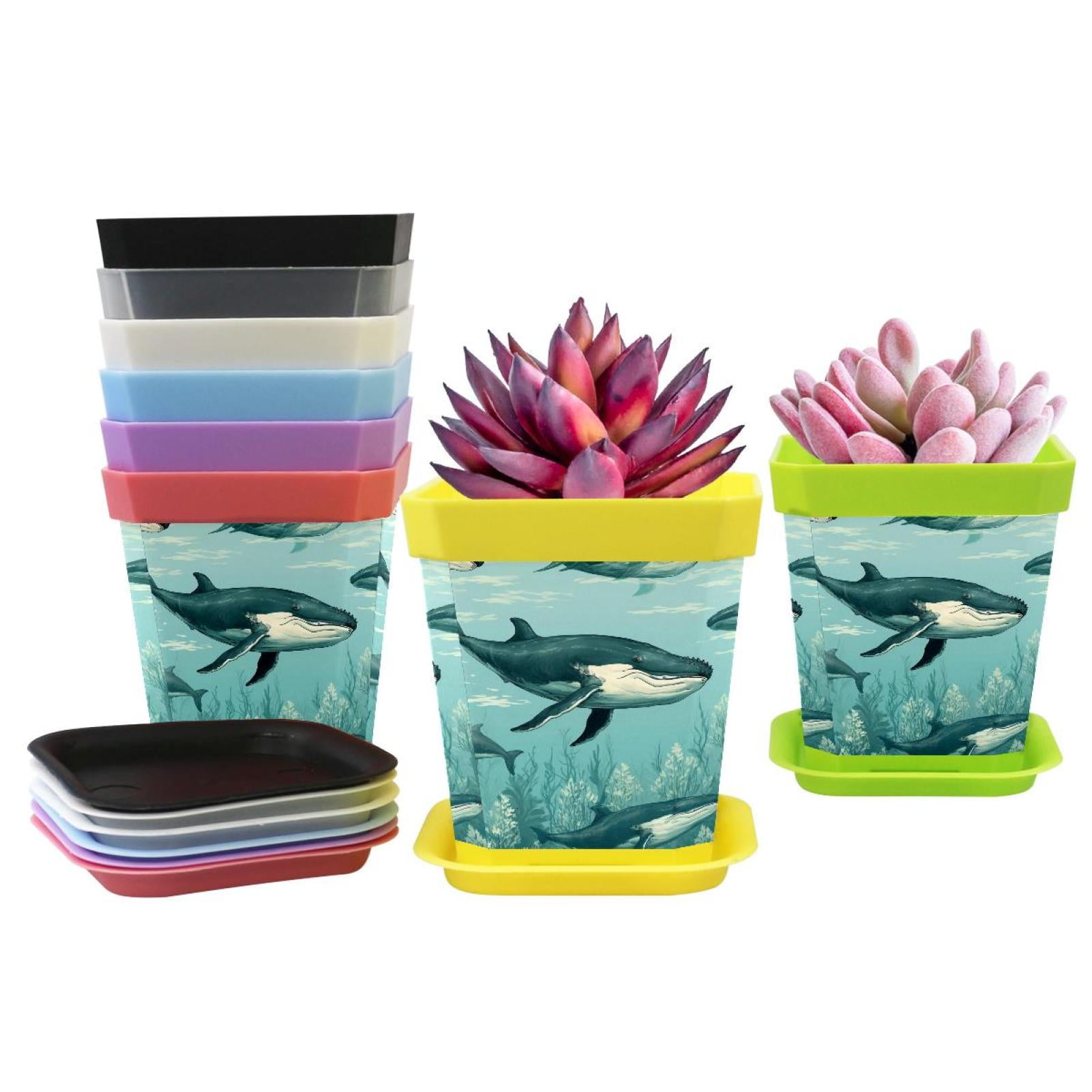 8 PCS Pots for Plants Whale in Ocean Plastic Planters with Drainage ...