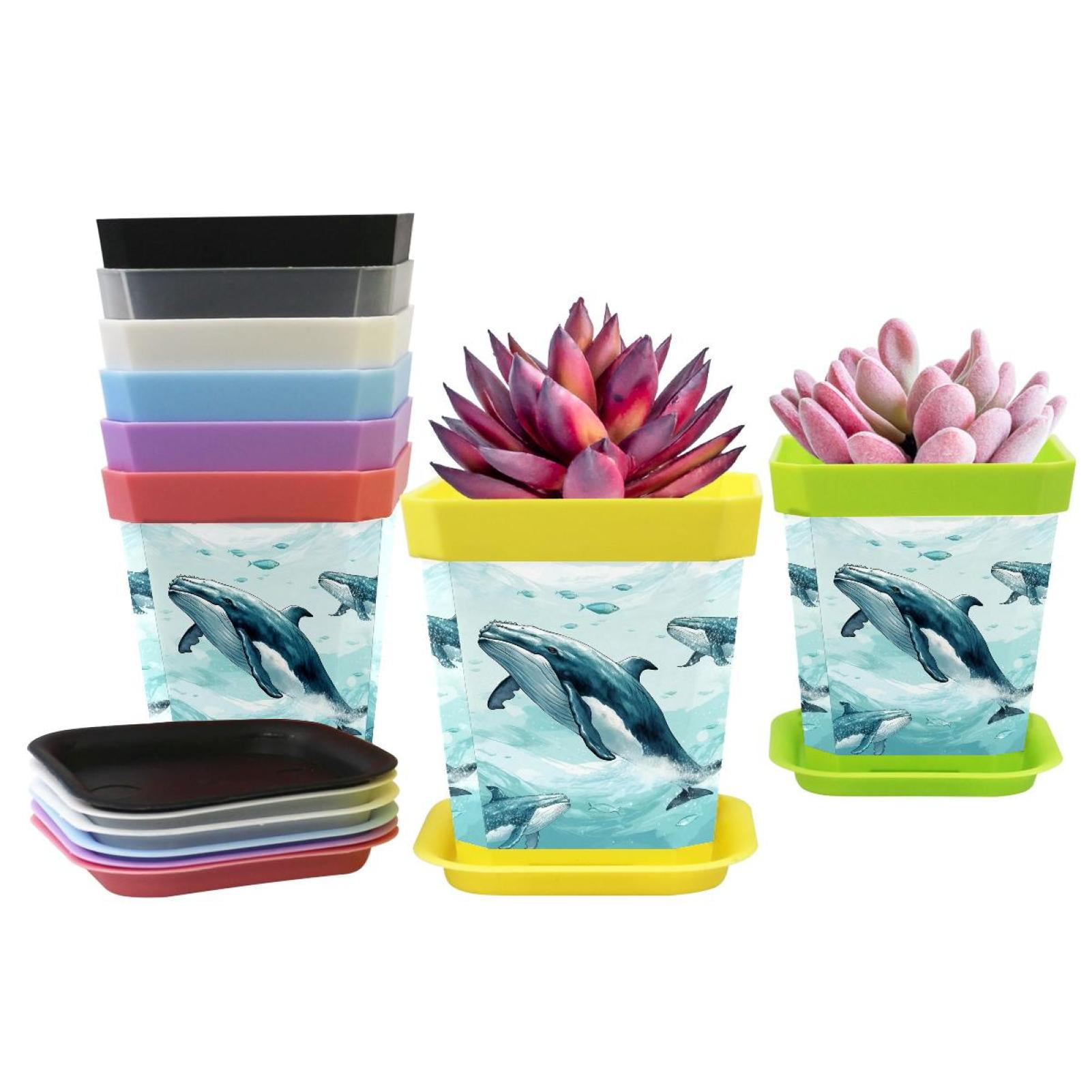 8 PCS Pots for Plants Whale in Ocean Plastic Planters with Drainage ...