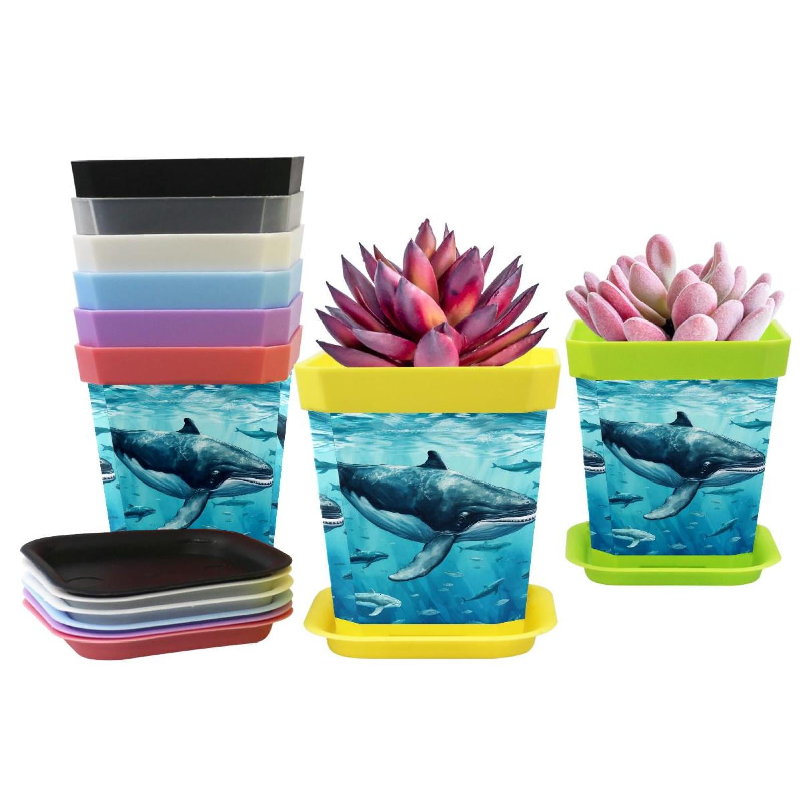 8 PCS Pots for Plants Whale in Ocean Plastic Planters with Drainage ...