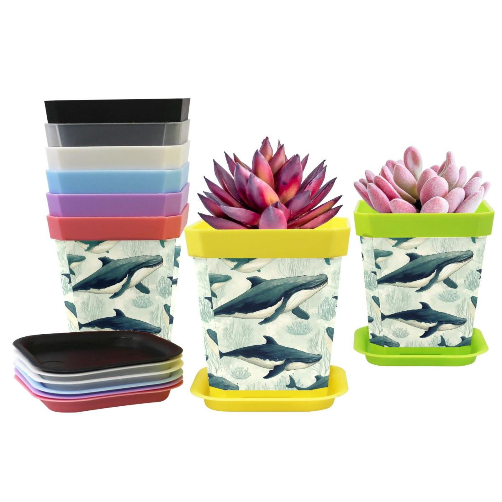 8 PCS Pots for Plants Whale in Ocean Plastic Planters with Drainage Holes and Tray, Plant Pots ...