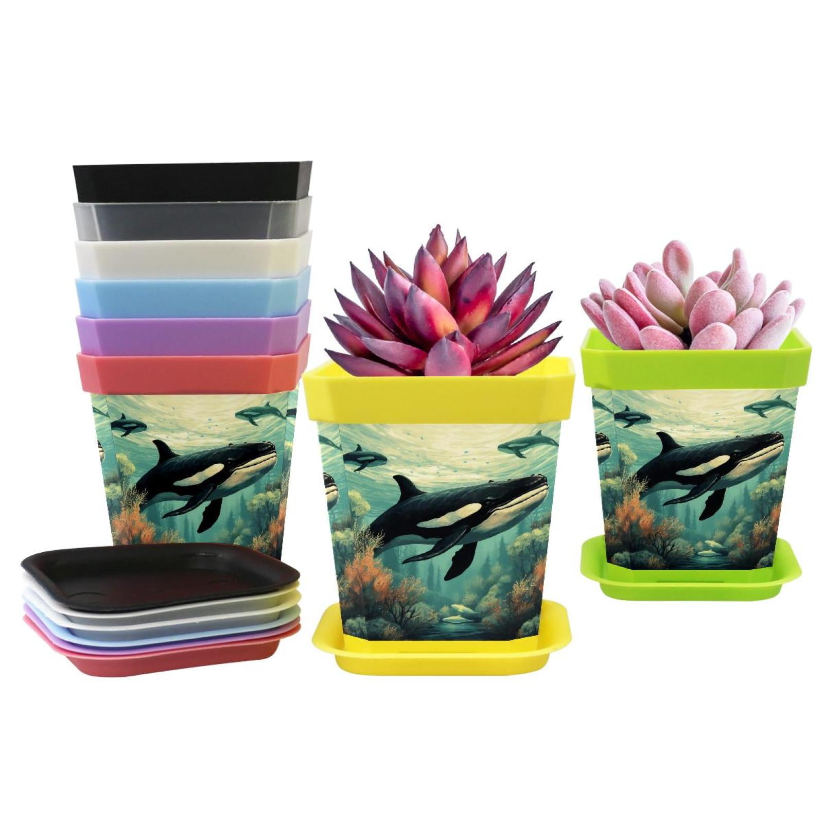8 PCS Pots for Plants Whale in Ocean Plastic Planters with Drainage ...