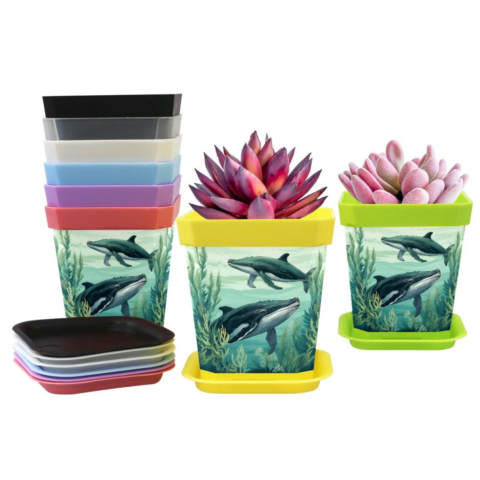8 PCS Pots for Plants Whale in Ocean Plastic Planters with Drainage ...