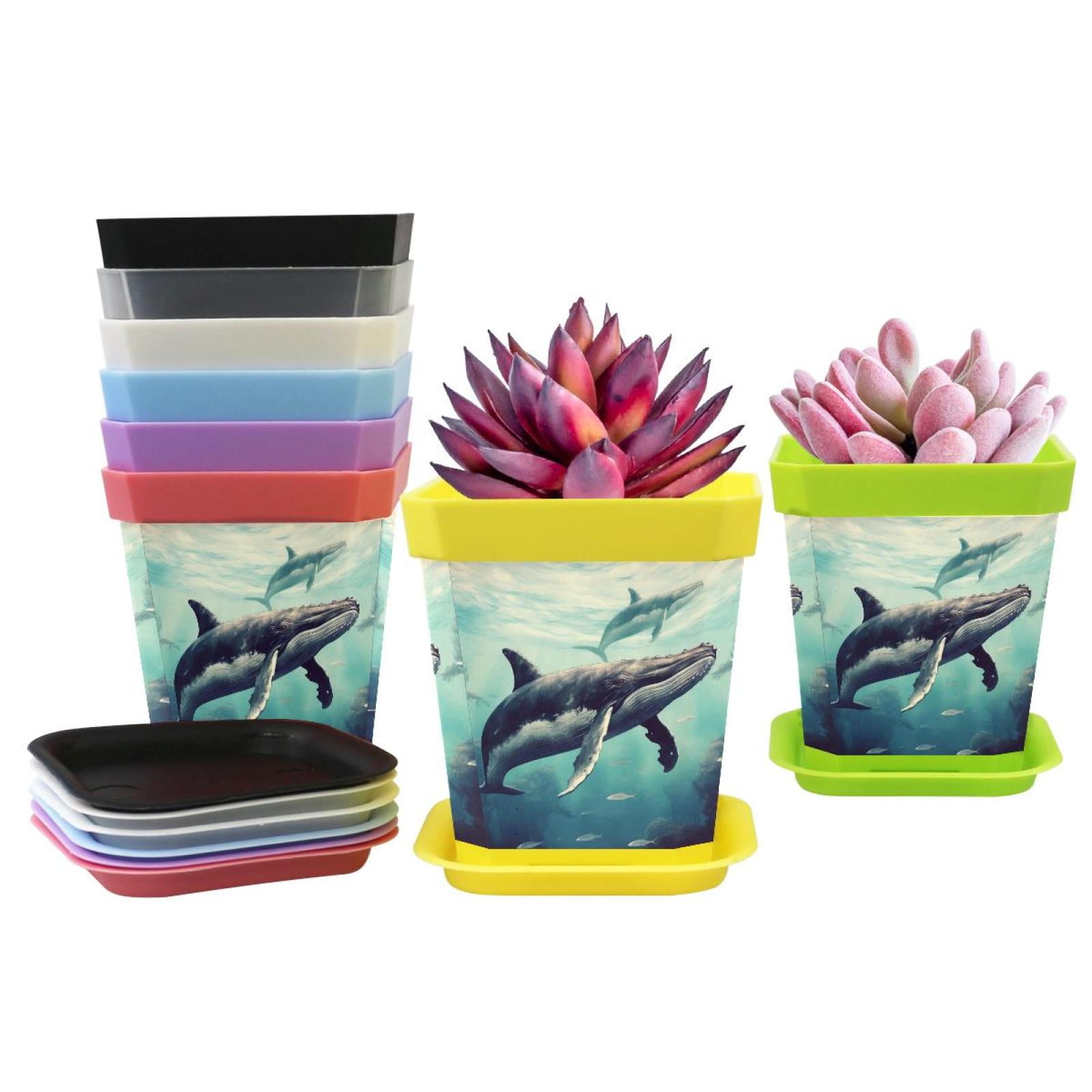 8 PCS Pots for Plants Whale in Ocean Plastic Planters with Drainage ...