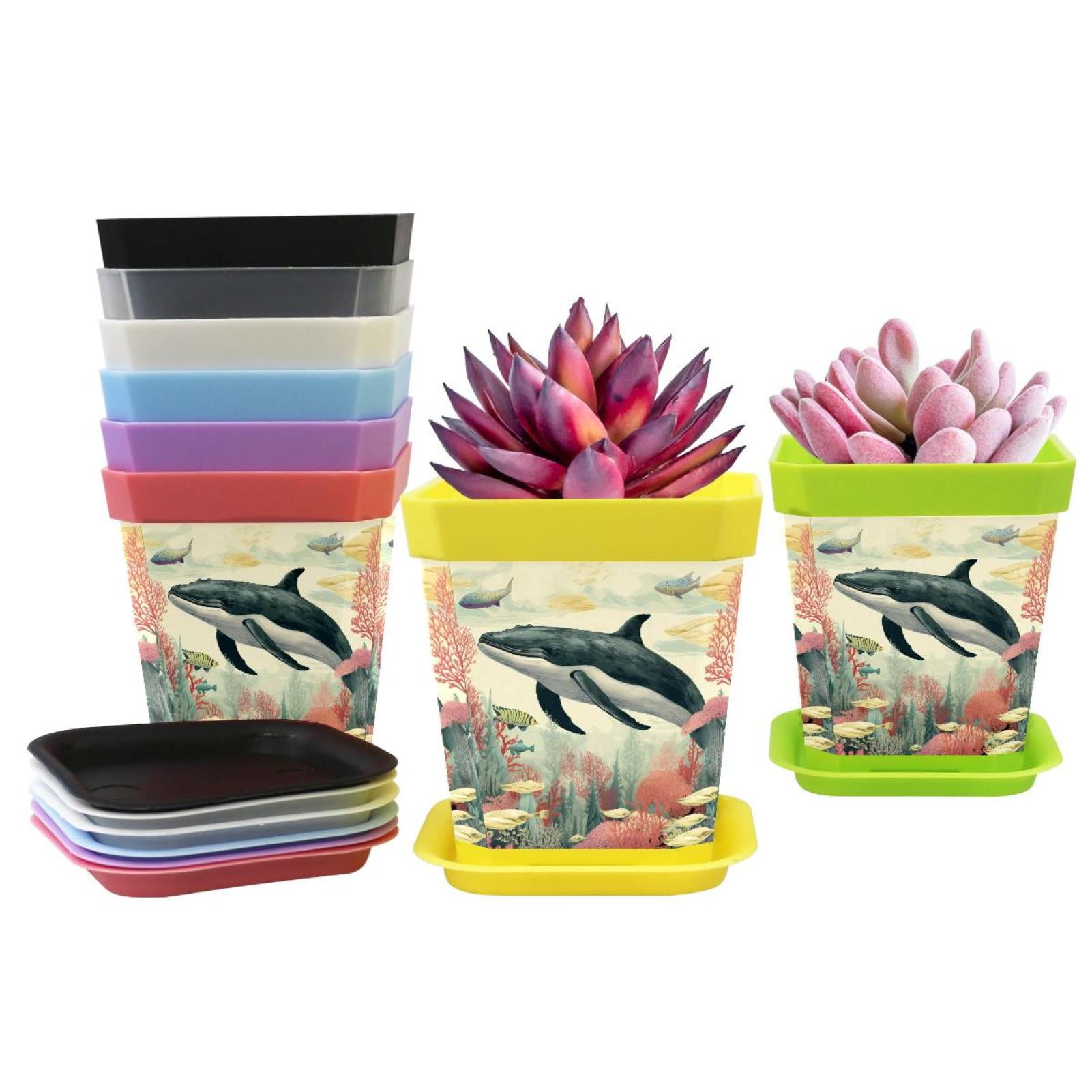 8 PCS Pots for Plants Whale in Ocean Plastic Planters with Drainage ...