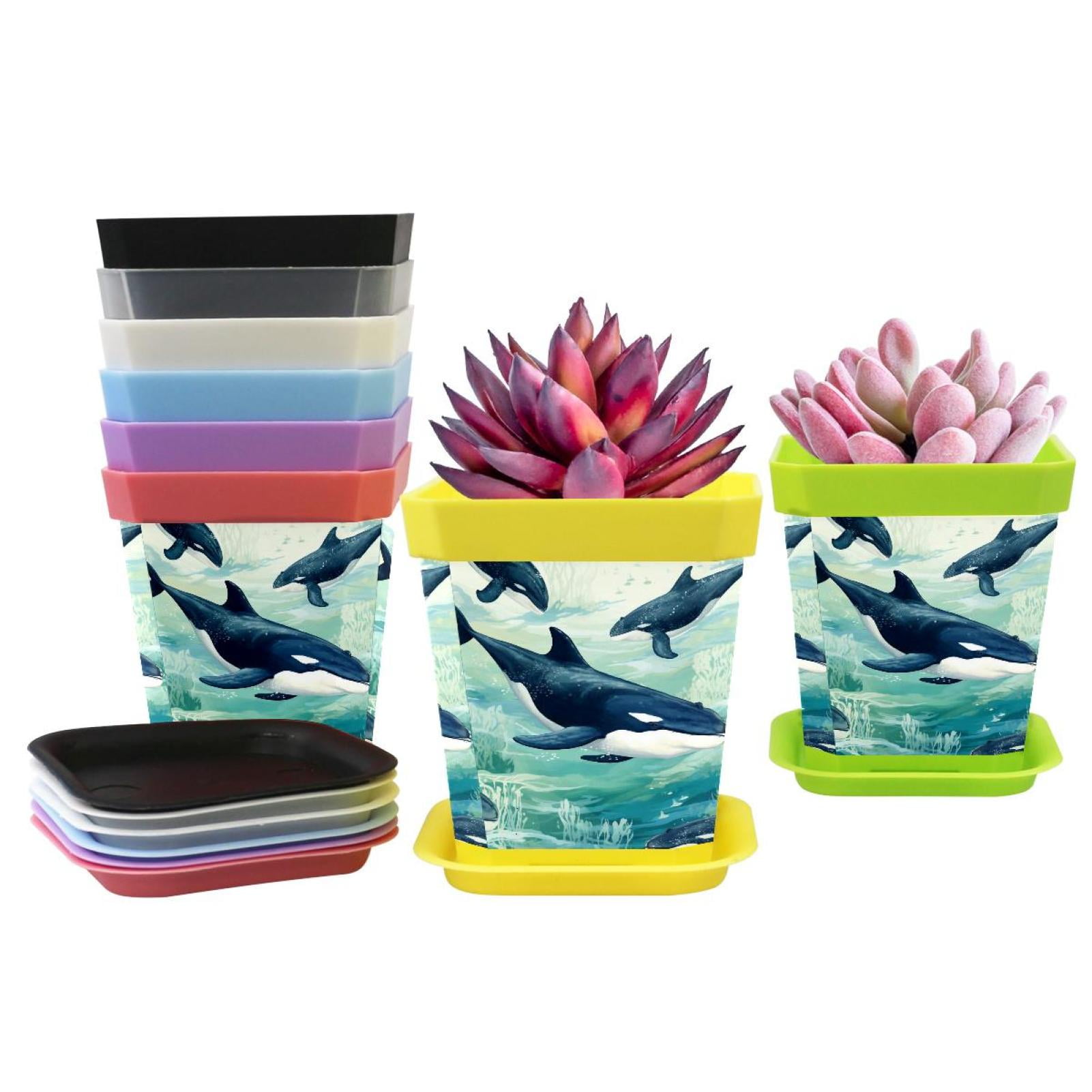 8 PCS Pots for Plants Whale in Ocean Plastic Planters with Drainage ...