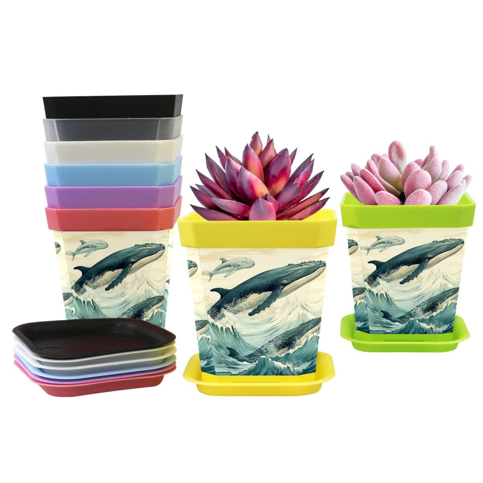 8 PCS Pots for Plants Whale in Ocean Plastic Planters with Drainage ...
