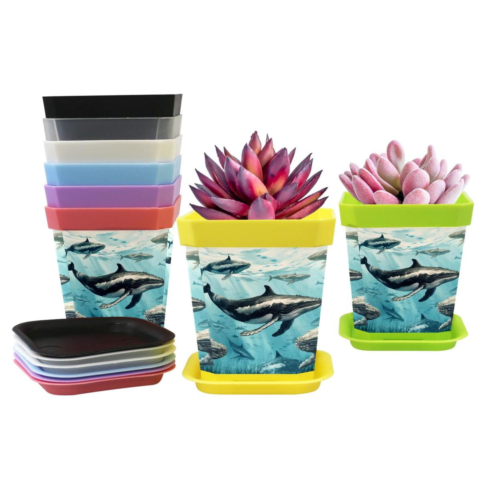 8 PCS Pots for Plants Whale in Ocean Plastic Planters with Drainage Holes and Tray, Plant Pots ...