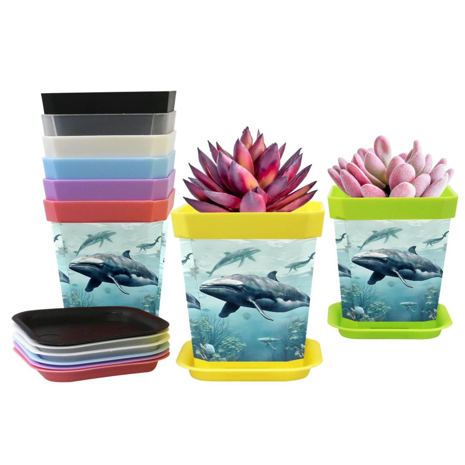8 PCS Pots for Plants Whale in Ocean Plastic Planters with Drainage ...