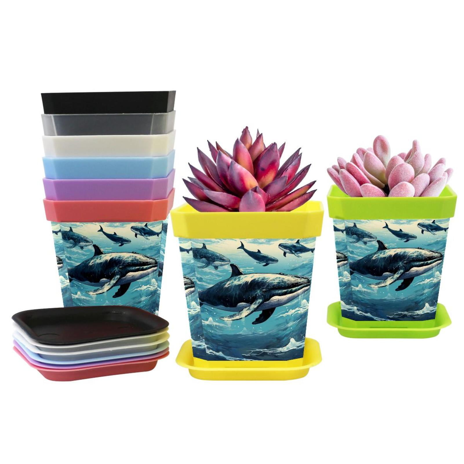 8 PCS Pots for Plants Whale in Ocean Plastic Planters with Drainage ...