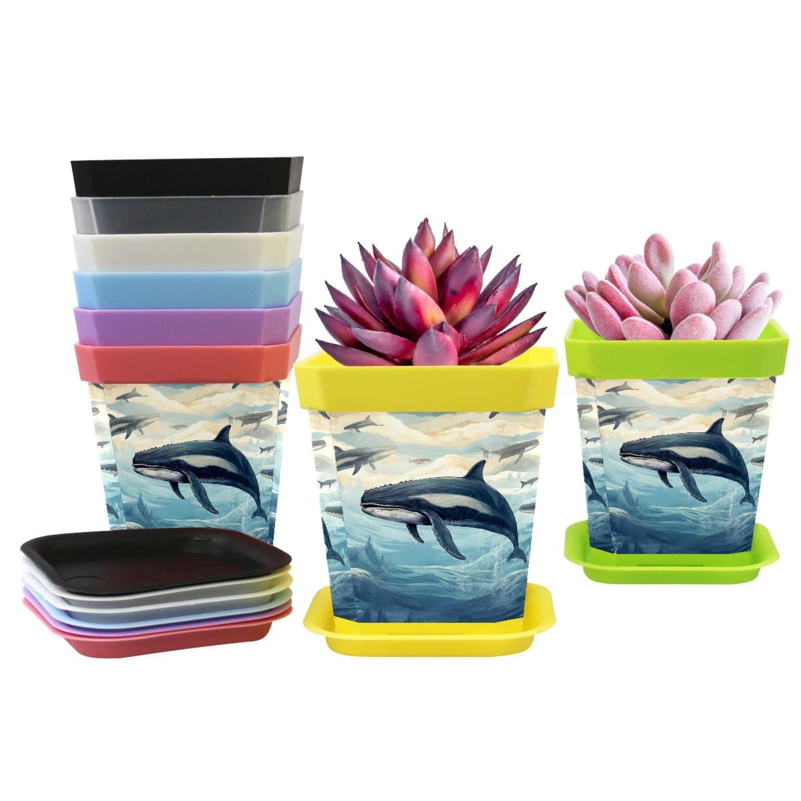 8 PCS Pots for Plants Whale in Ocean Plastic Planters with Drainage ...