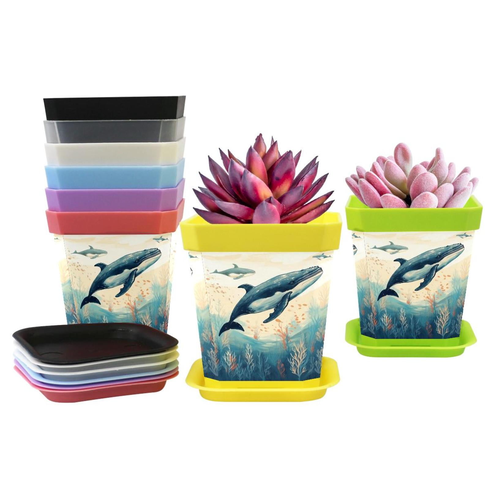 8 PCS Pots for Plants Whale in Ocean Plastic Planters with Drainage ...
