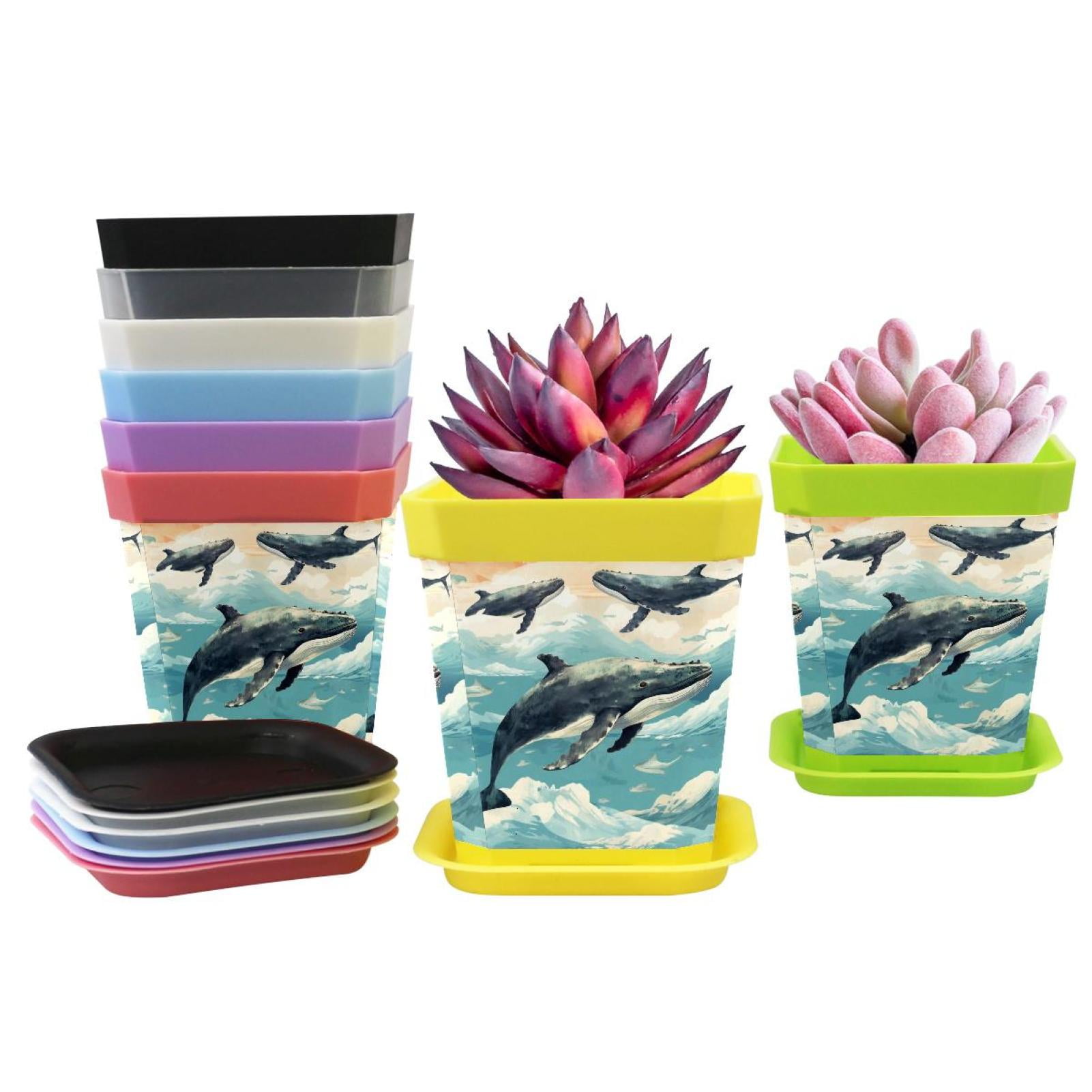 8 PCS Pots for Plants Whale in Ocean Plastic Planters with Drainage ...