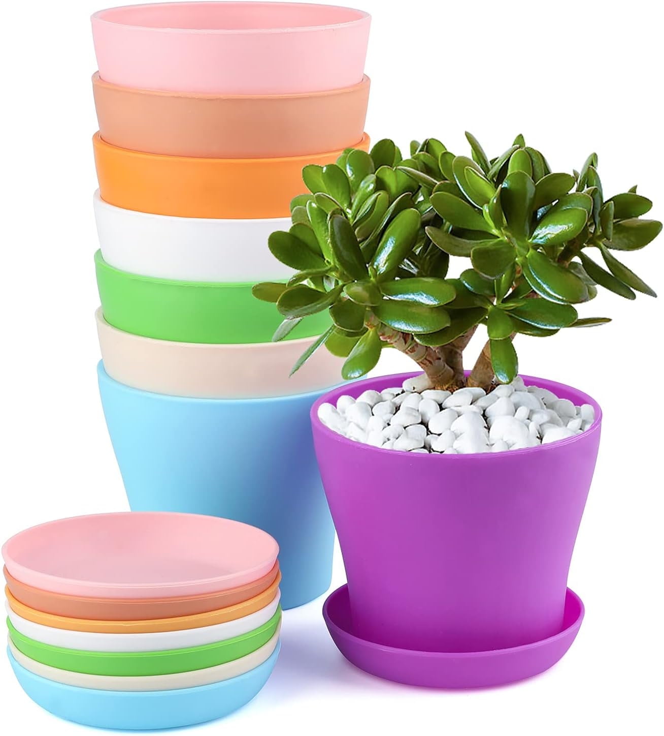 8 Pack Colorful Plastic Flower Pots, 5.5 Inch Thick Plant Nursery Pots ...