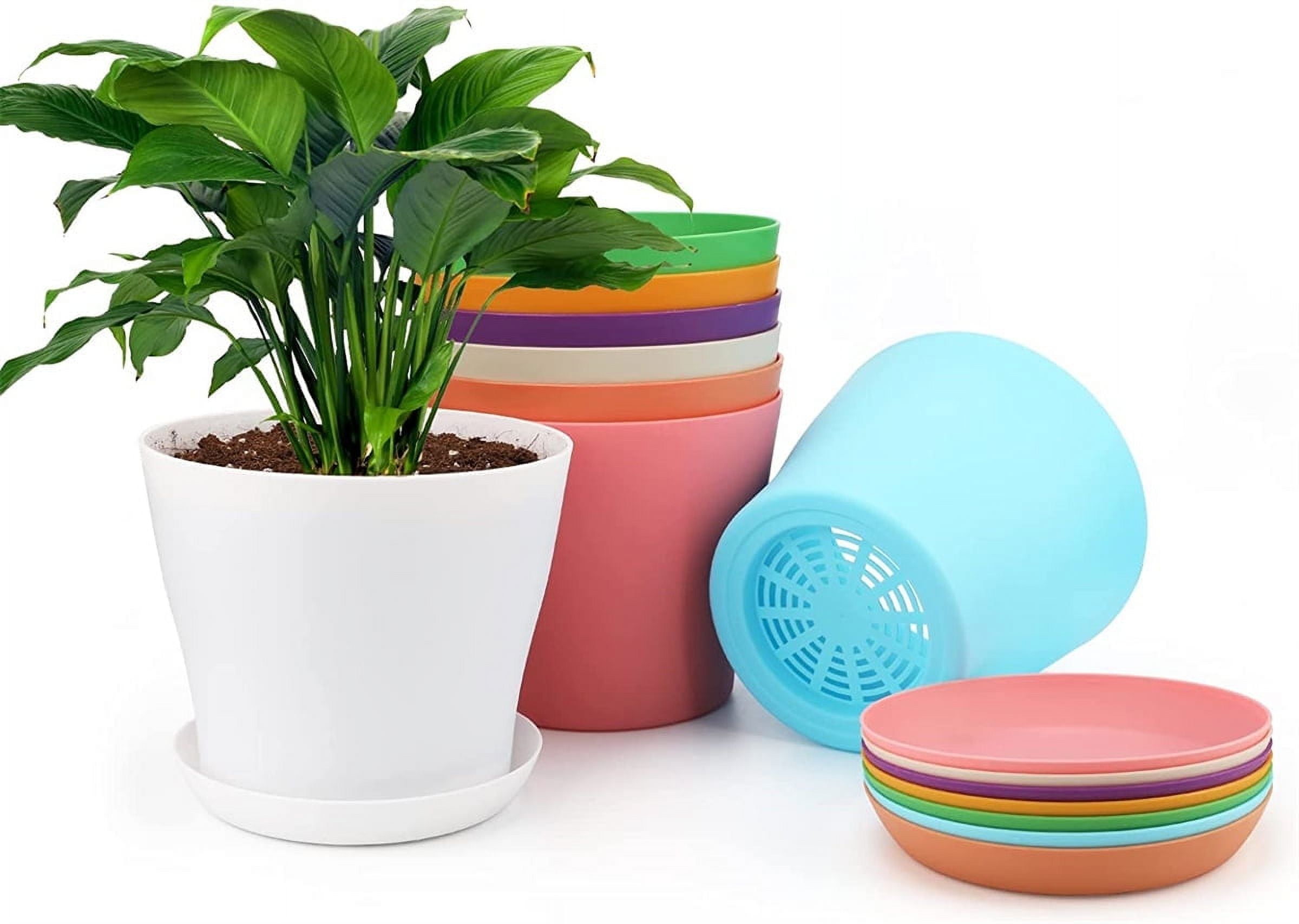 8 Pack 4.7in Small Plastic Planters, Small Indoor Flower Plant Pots ...