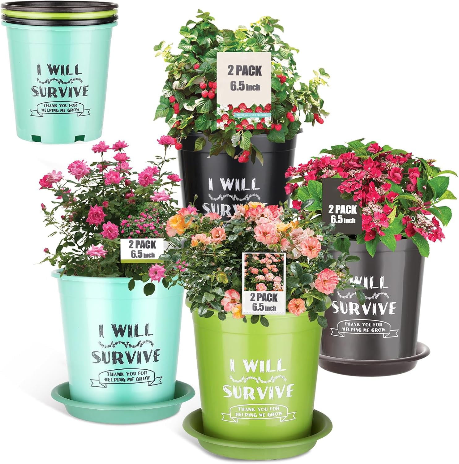 8 Pack 6.5 Inch Plant Pots, 4 Colors Pots for Plants, Flower Pots with ...