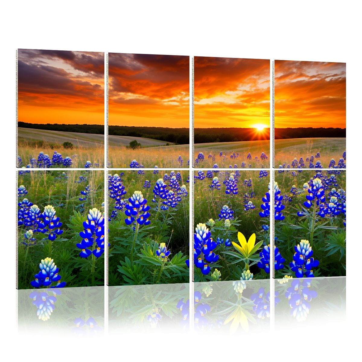 8 Pack Art Acoustic Panels Sound Absorbing Texas Bluebonnet Flower ...