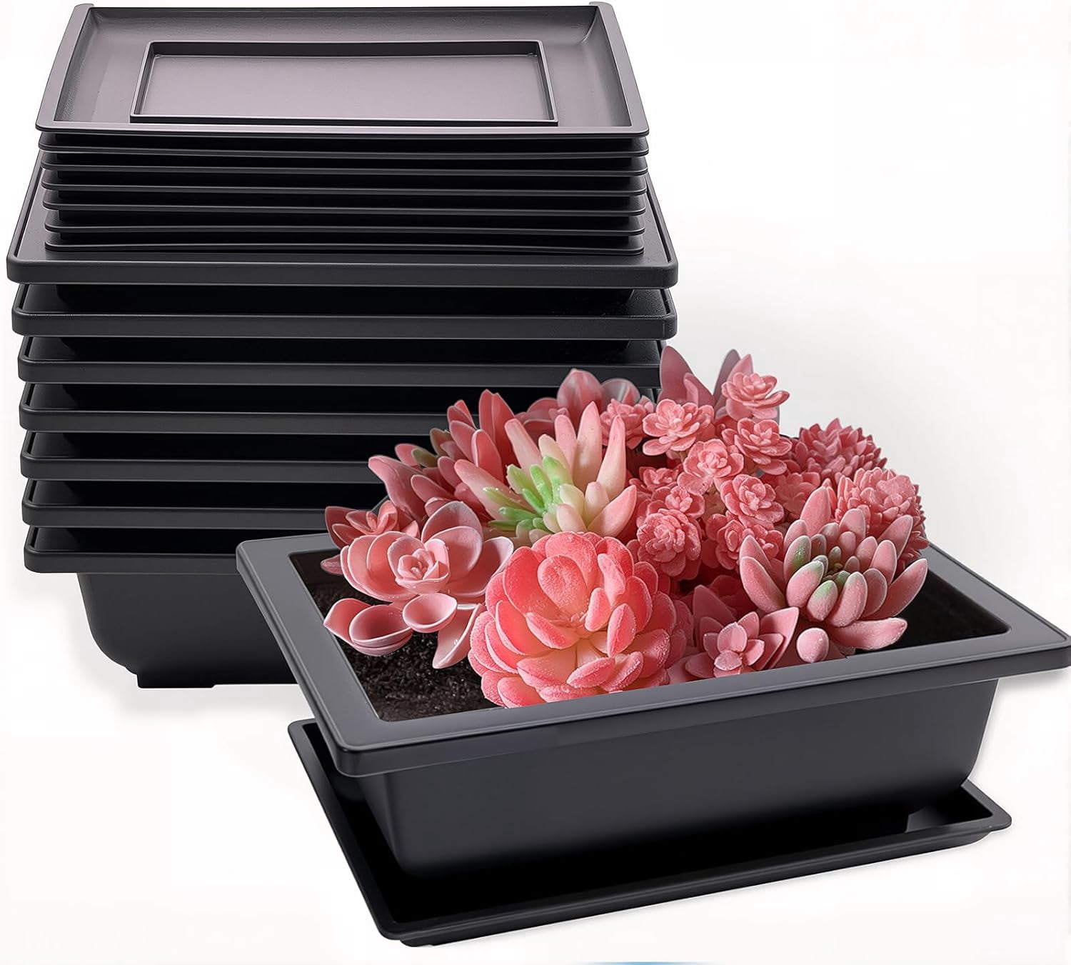 8 Pack Bonsai Training Pots with Drainage Trays, 9 Inch Plastic Bonsai ...