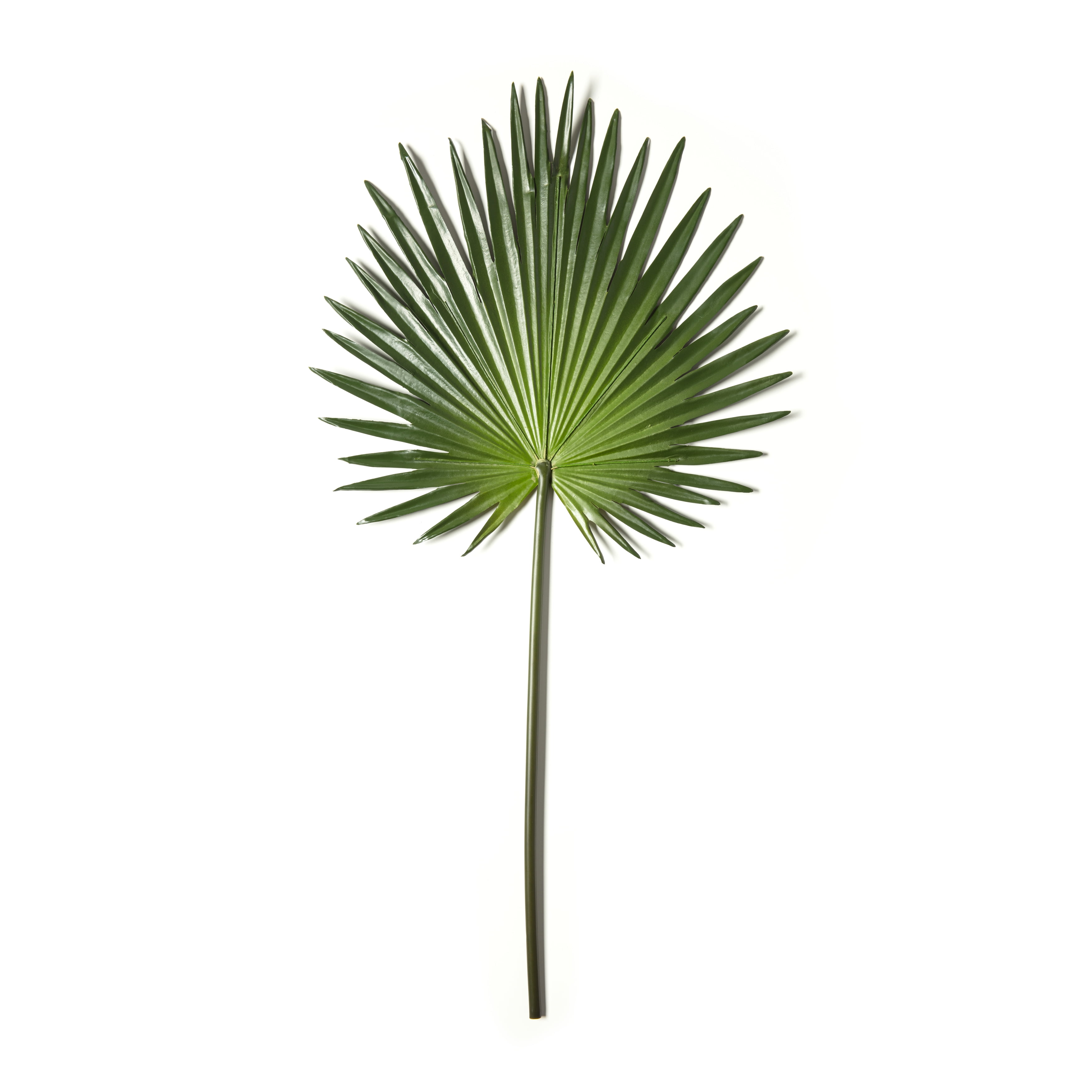 8 Pack: Green Fan Palm Stem by Ashland® - Walmart.com