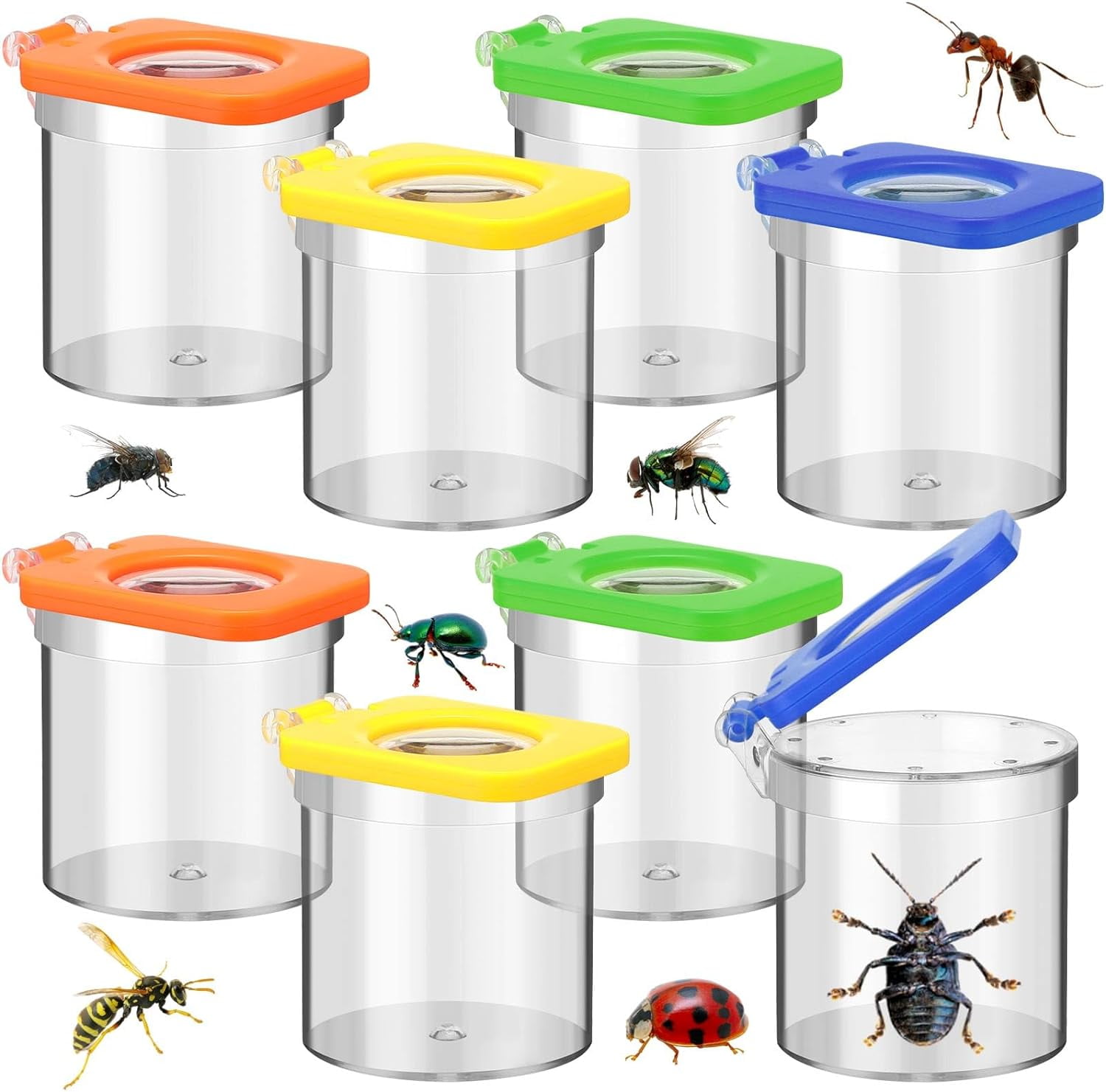 8 Pack Insect Bug Viewer for Kids with Tweezers Magnifying Insect Box ...