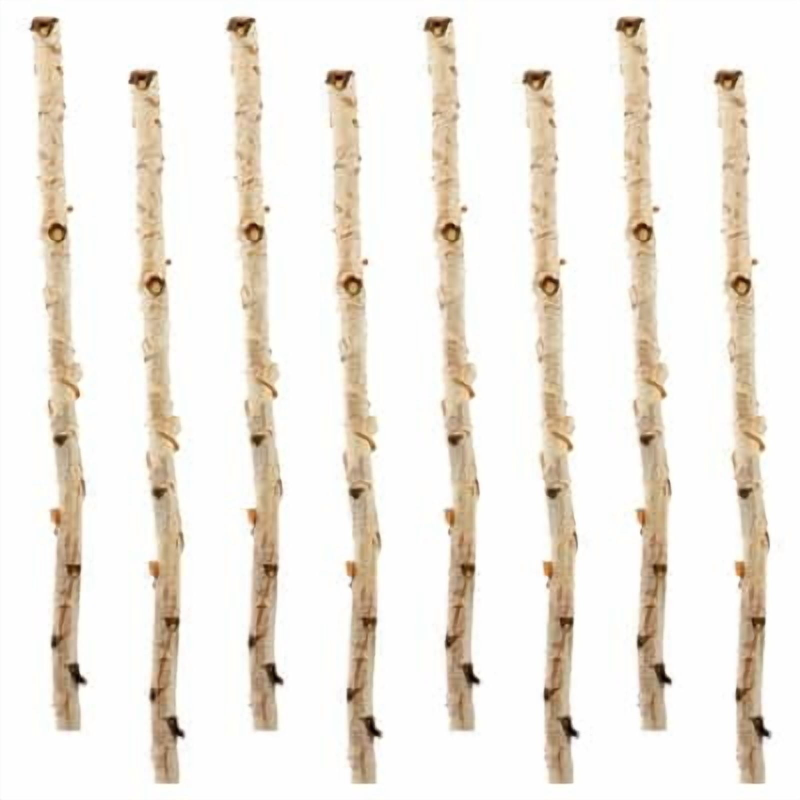 8 Pack: Natural River Birch Branch by Ashland - Walmart.com