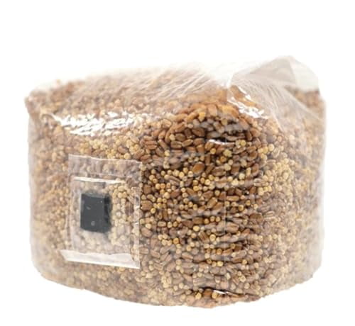 (8-Pack) North Spore Organic Sterilized Hydrated Grain Bag w/Self ...