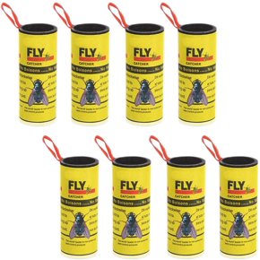 Sticky Fly Paper