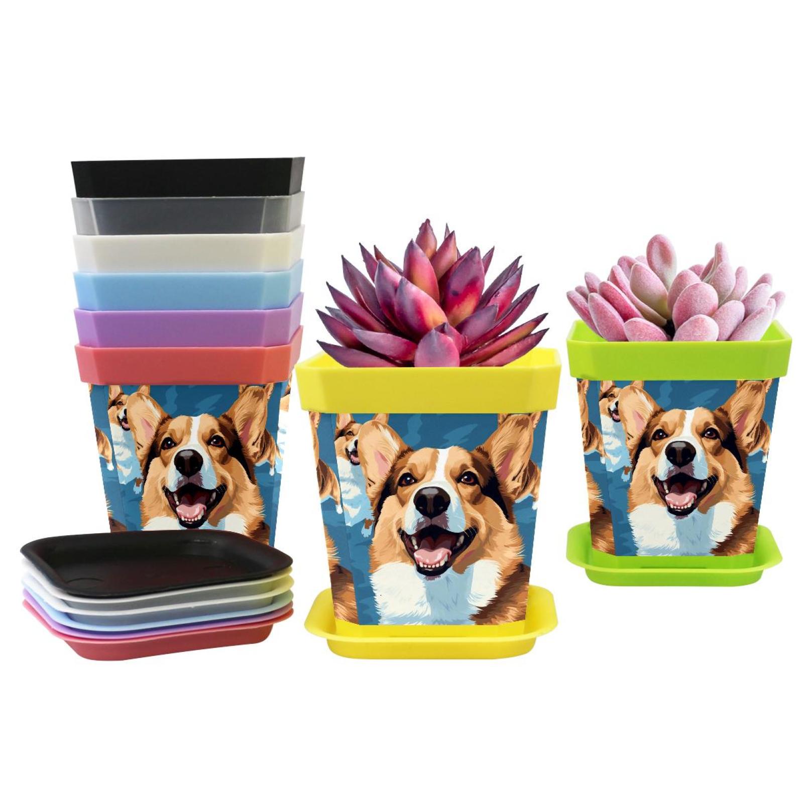 8 Pack Square Plastic Planters with Drainage Holes and Saucers Flower ...