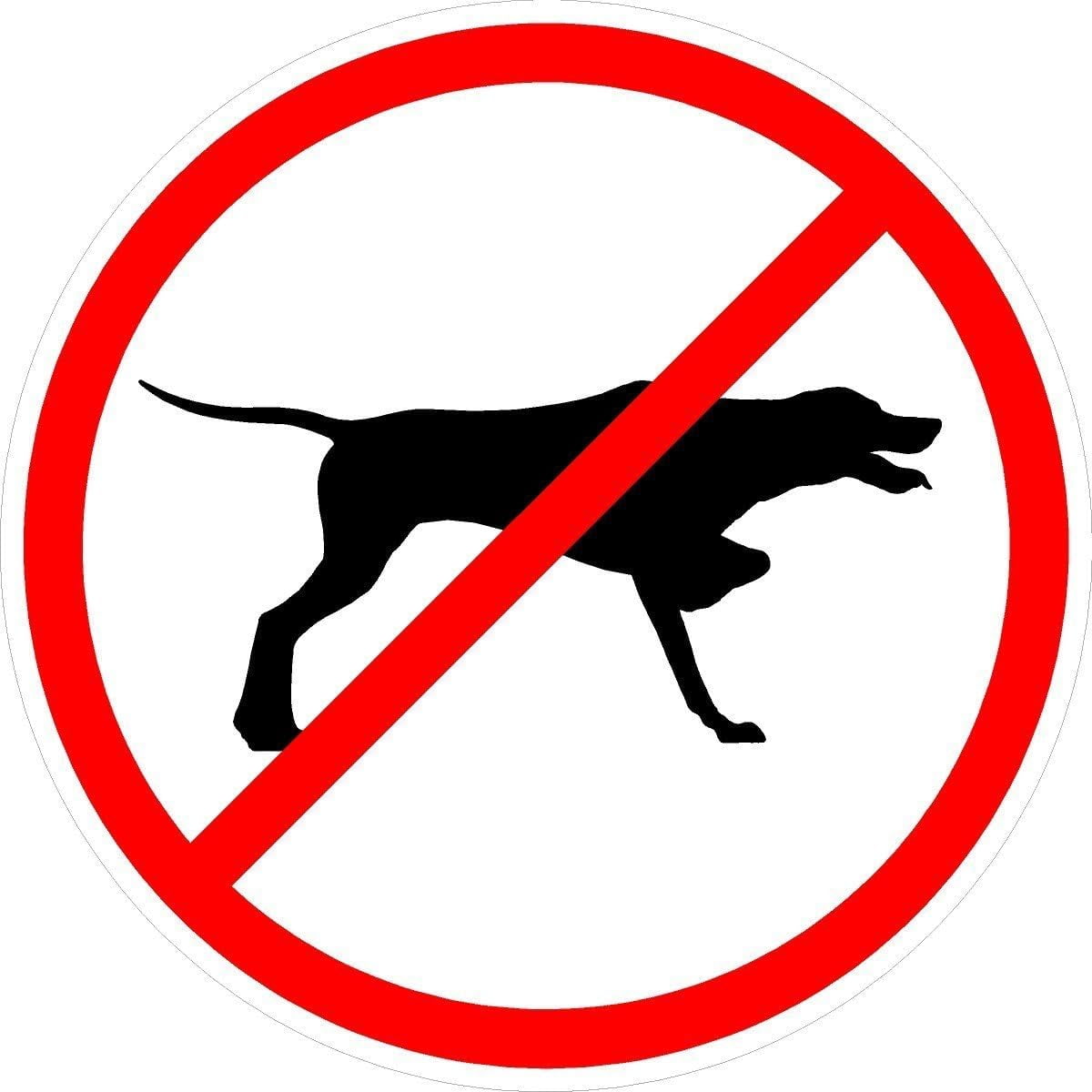 8 Pack - StickerDad® NO BIRD DOGS snitch spy Vinyl Hard Hat Helmet ...