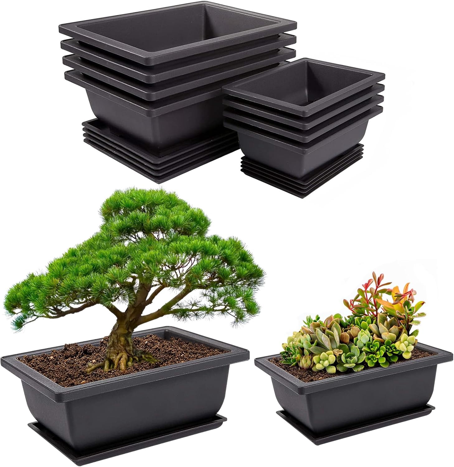 8 Packs Bonsai Training Pot with Humidity Tray - 6.5in & 9in Training ...