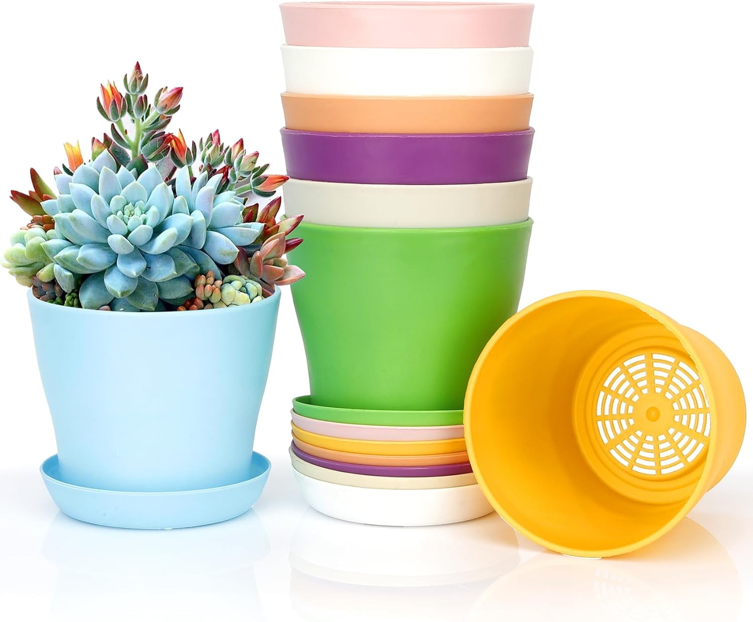 8 Pcs 10cm Small Colorful Plant Pots Plastic Flower Pots Indoor Plants ...