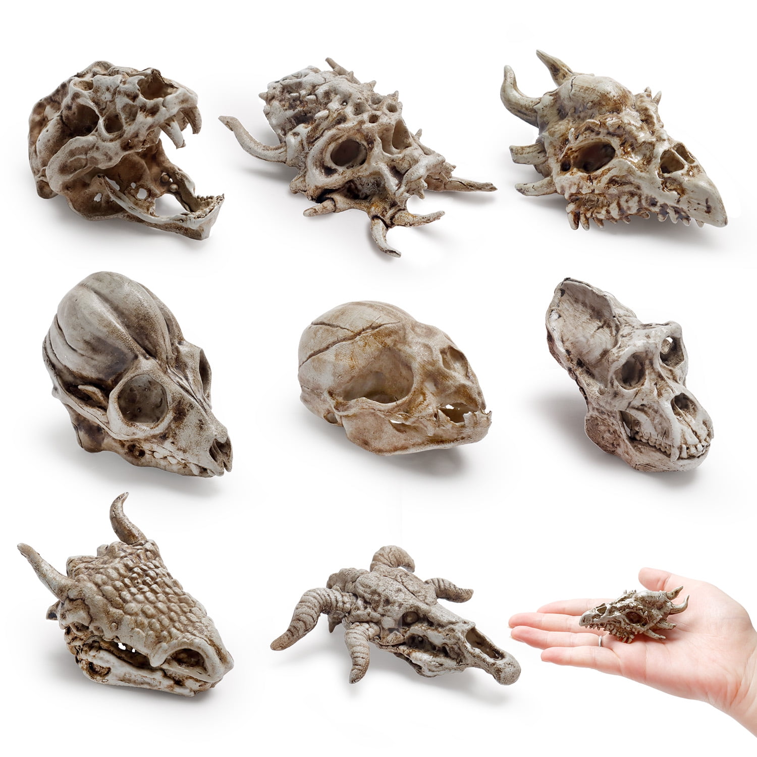 8 Pcs Halloween Miniature Decoration: 2.3 inch Resin Animal Skull ...