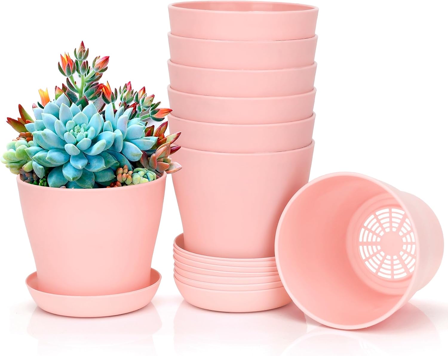 8 Pcs 3.8" Plastic Flower Pots for Indoor Outdoor Use, Nursery ...