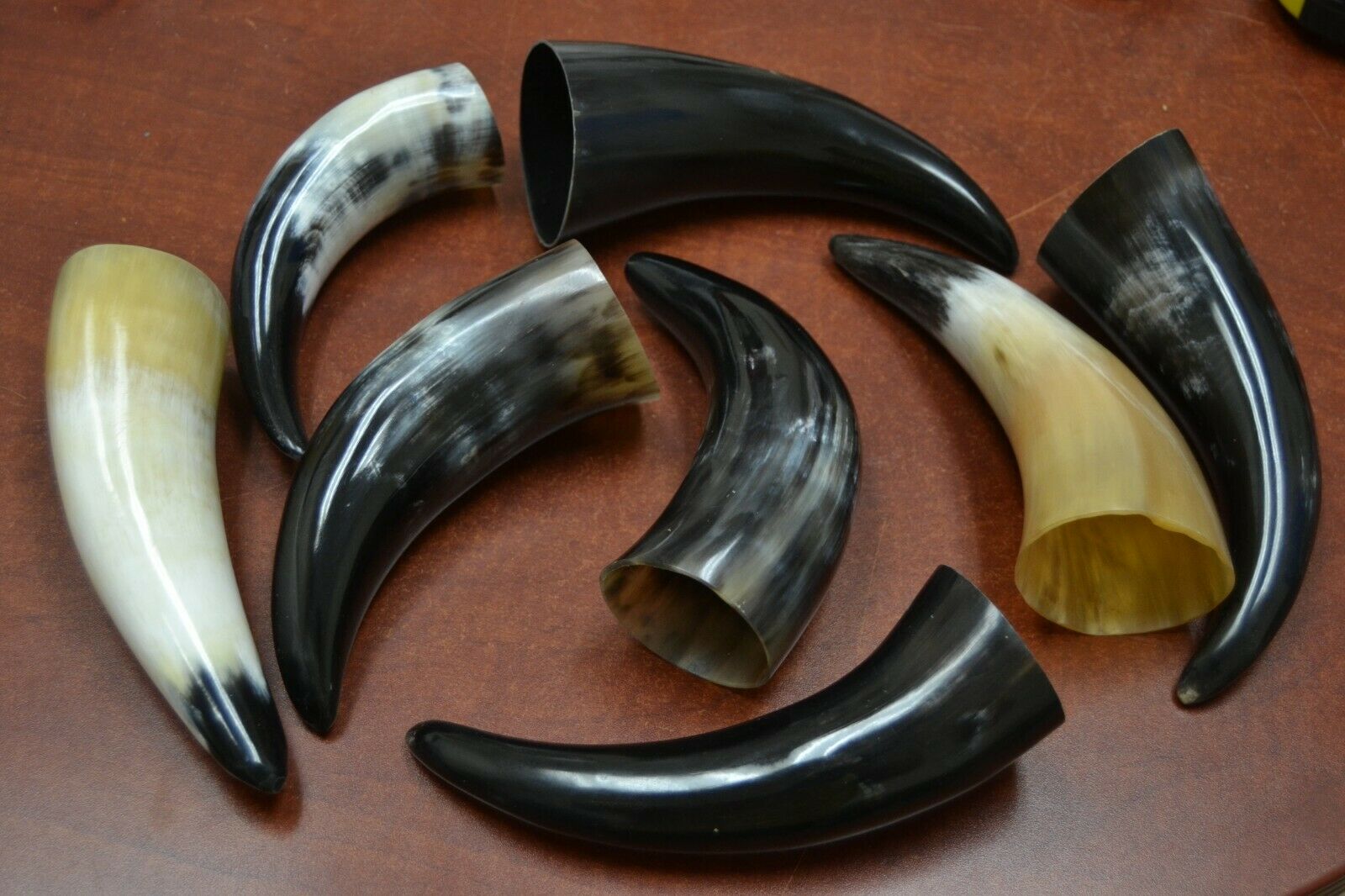 8 Pcs Assort Polished Water Buffalo Hollow Viking Horns 5" - 6 ...
