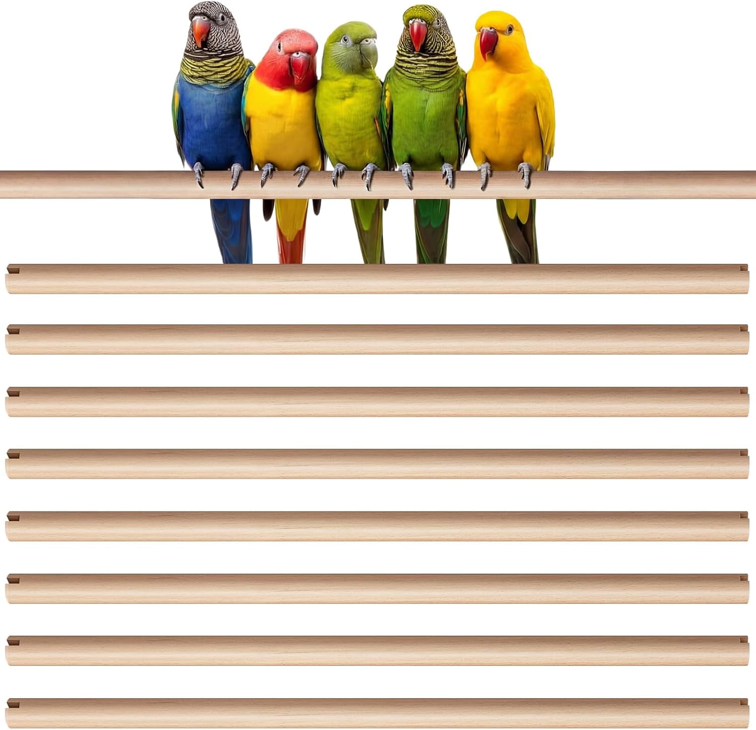 8 Pcs Bird Perches for Cage Accessories, Wooden Perch Rods Replacement ...