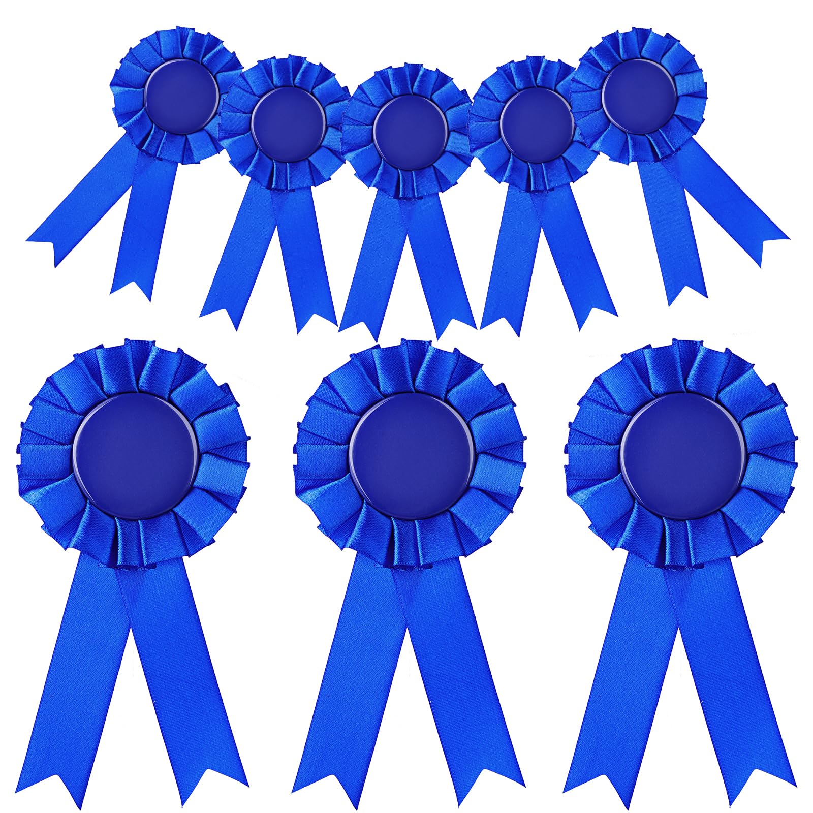 8 Pcs Blank Award Ribbons 1st Place Ribbons Prize Ribbons Badge Ribbons ...