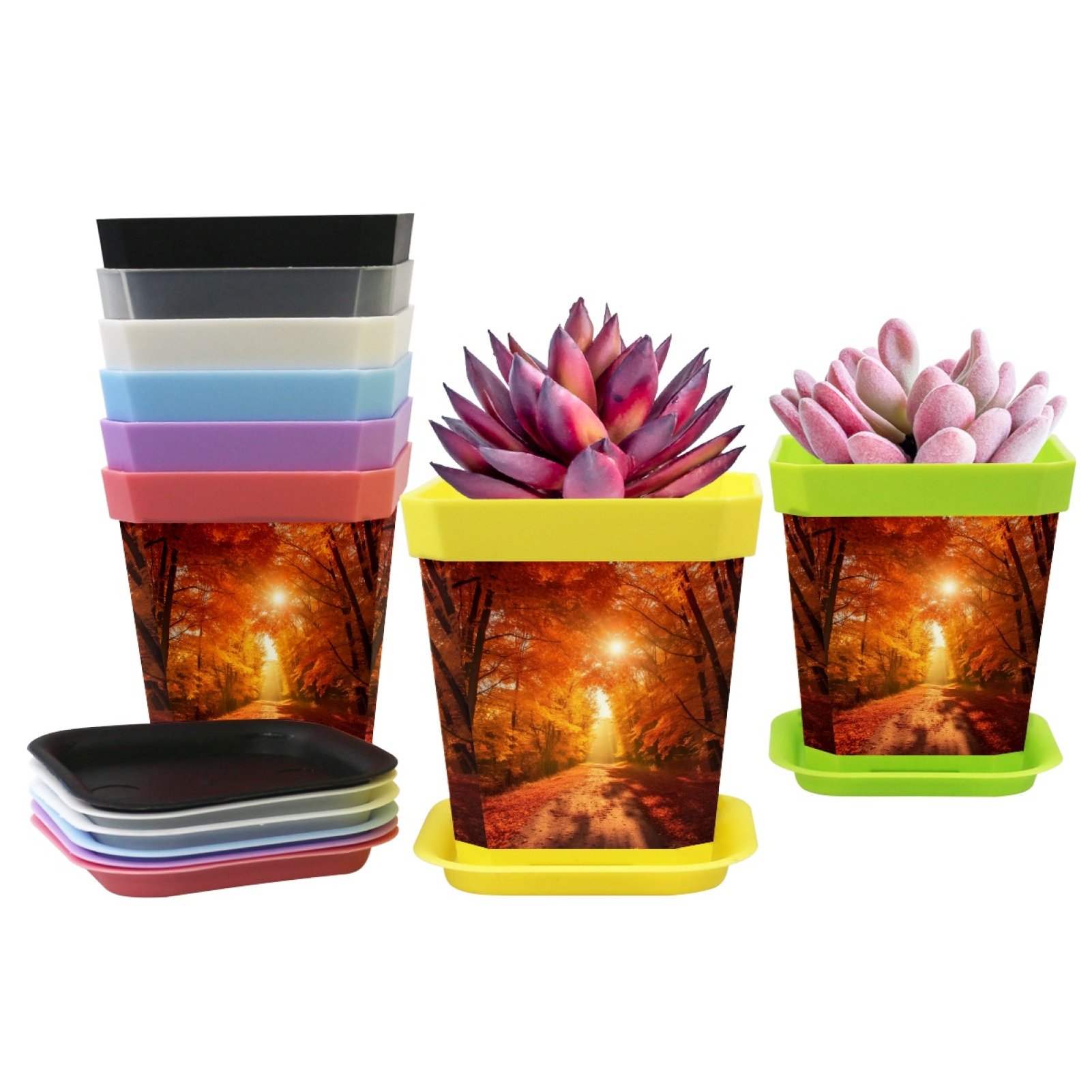 8 Pcs Decorative Flower Pots,Small Plastic Plant Pots,Planter Pots for ...