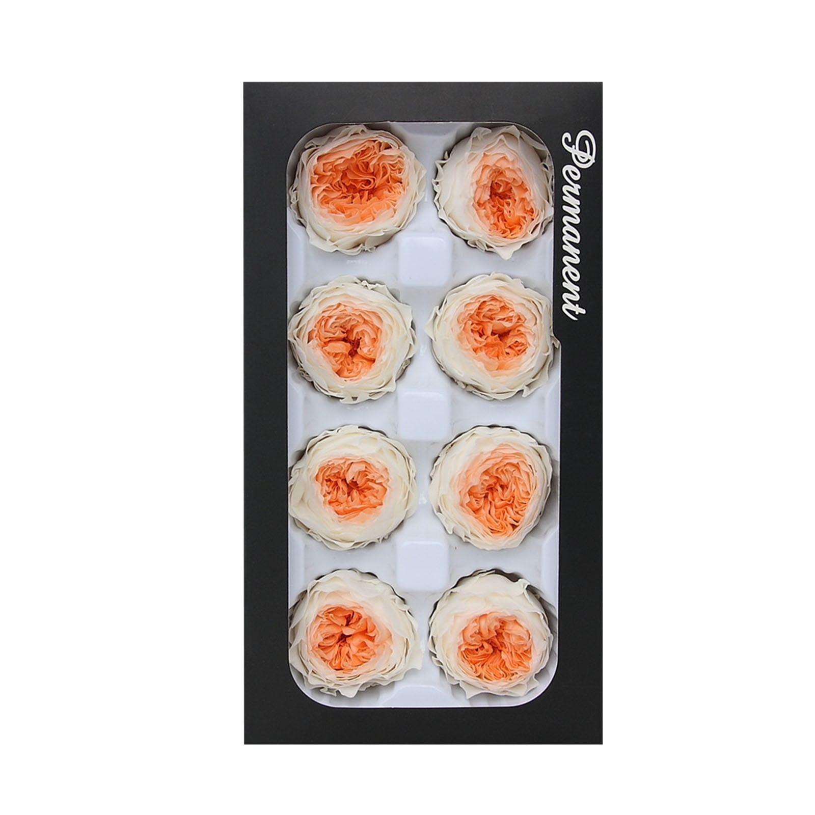 8 Pcs Forever Preserved Roses in a Box, 100% Real Roses That Last Up to 3 Years, Preserved ...