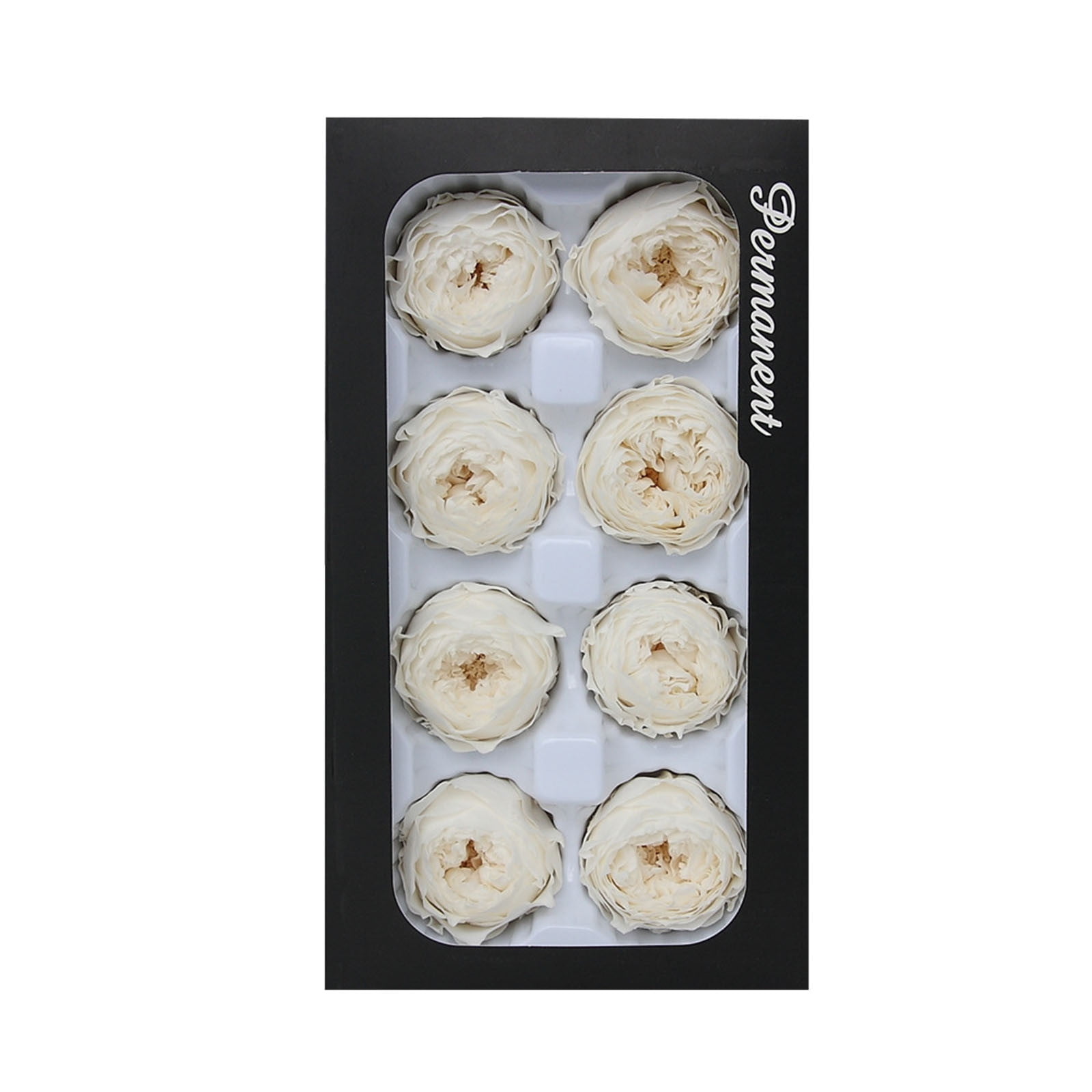 8 Pcs Forever Preserved Roses in a Box, 100% Real Roses That Last Up to ...