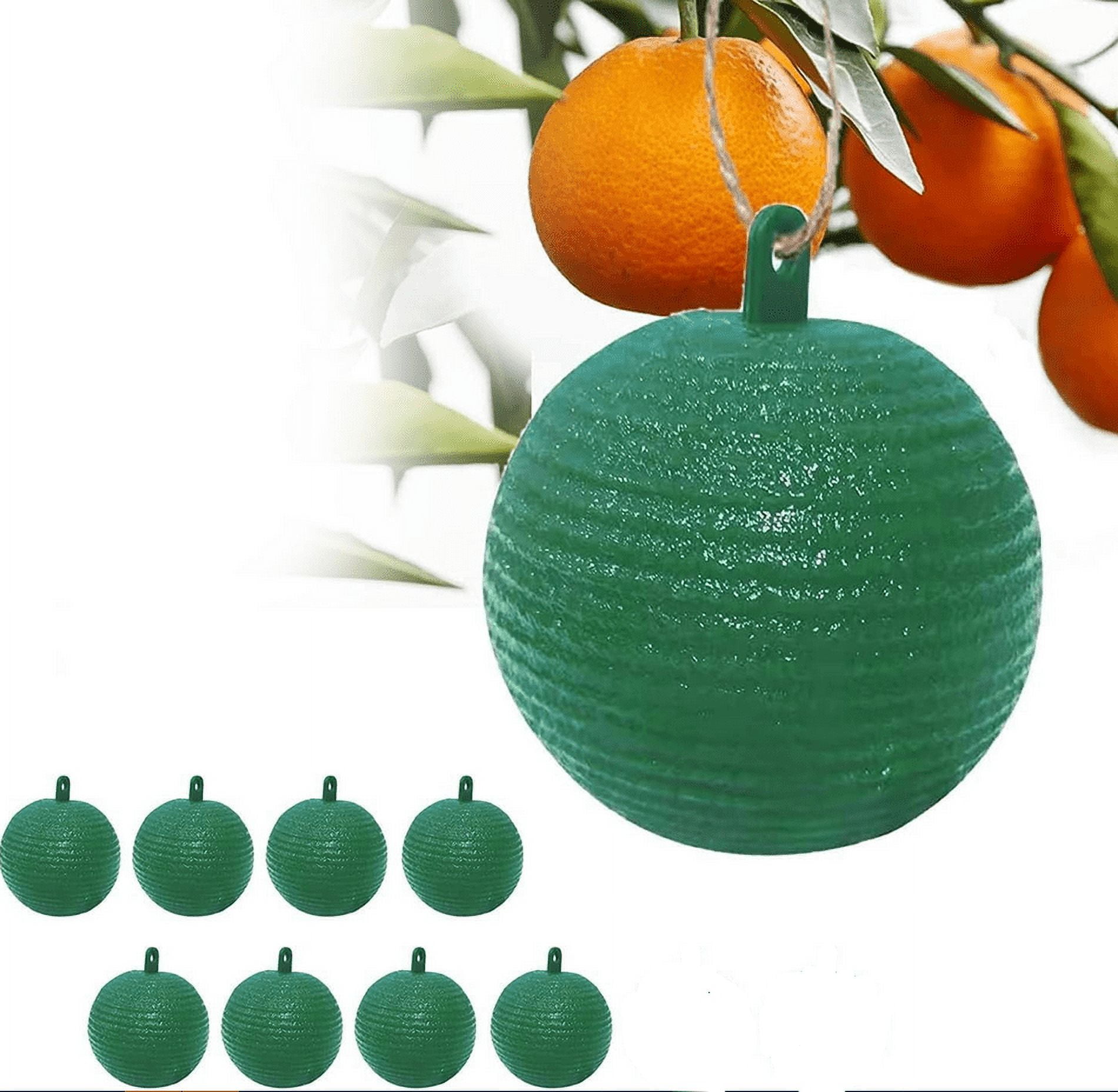 8 Pcs Fruit Fly Traps Ball Sticky Traps Ball, Gnat Traps Flying Insects ...
