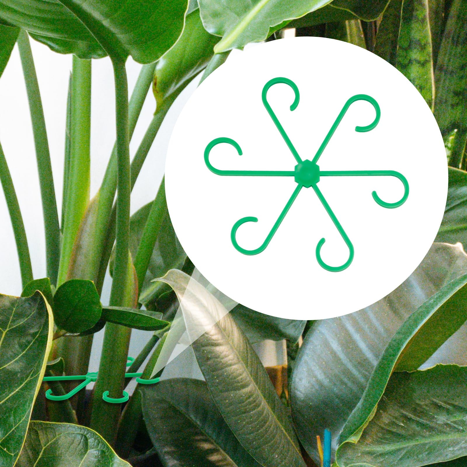 8 Pcs Garden Climbing Houseplant Stem Supports, Plastic Plant Climbers ...